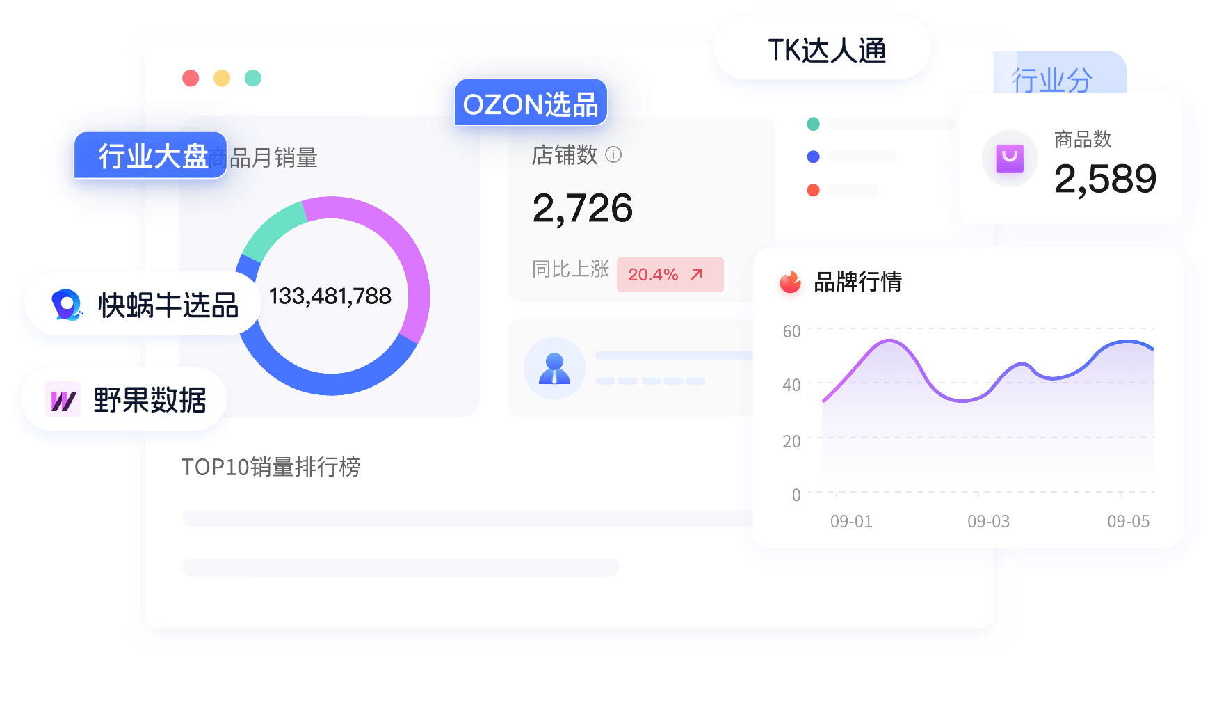 【野果数据】-专业Wildberries数据分析软件,Wildberries运营分析必备工具,Wildberries数据选品工具