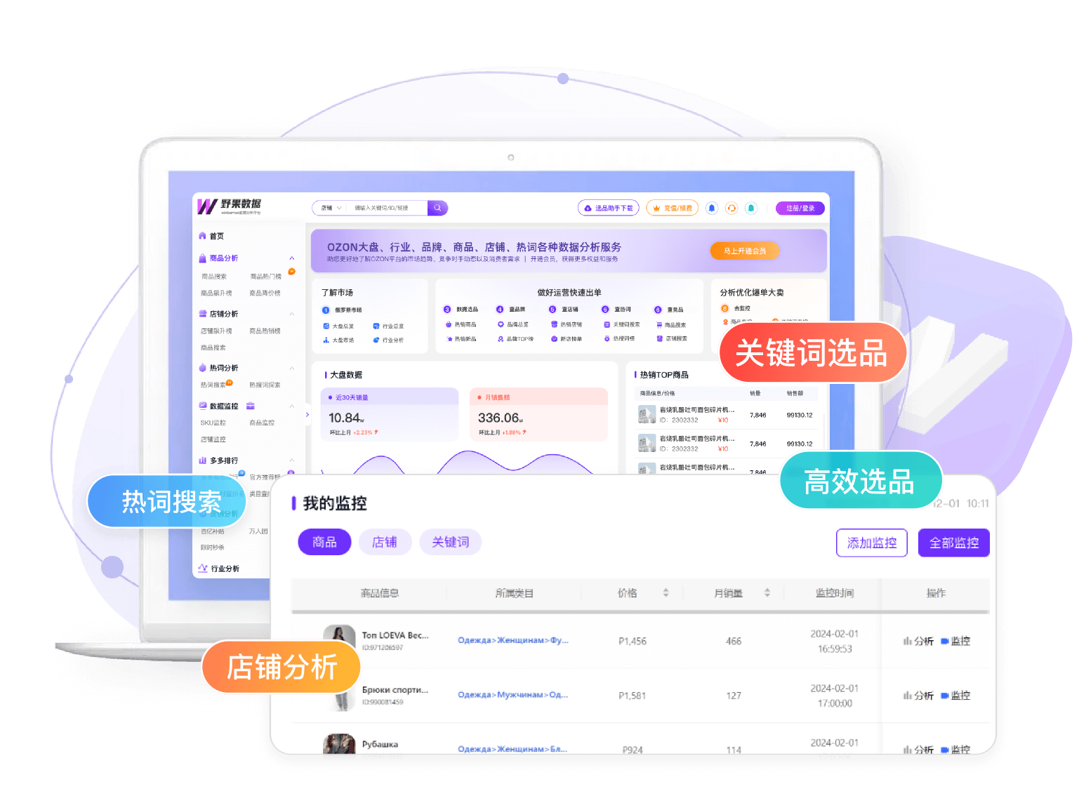 【野果数据】-专业Wildberries数据分析软件,Wildberries运营分析必备工具,Wildberries数据选品工具